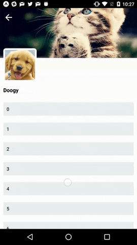 GitHub - brentvatne/animations-showcase