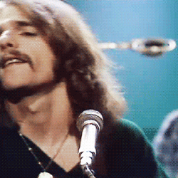 ¿Cuantos más? | Oso Beard Site