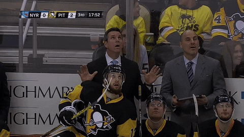 Mike Sullivan's amazing reaction to a weird penalty call : r/hockey