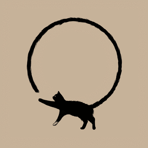 Get the tail! : r/gifs