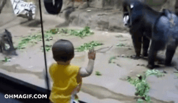 4607 best X Gifs images on Pholder | Animal Text Gifs, Pixel Art and No ...