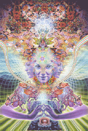 LSD is one hell of a drug : r/gifs
