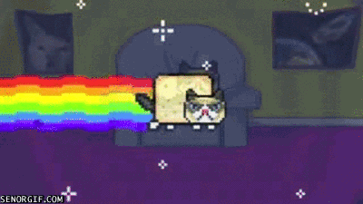 Grumpy Cat ist tot: Die besten GIFs der Meme-Legende | NETZWELT