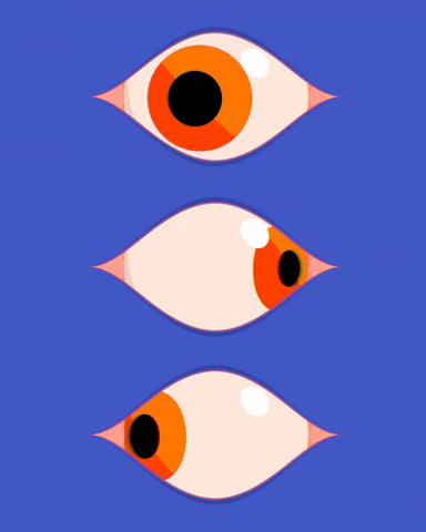 Eye rig made with shape layers : r/AfterEffects