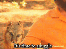 LSU Serial Snuggler from 2003 | Page 3 | O-T Lounge