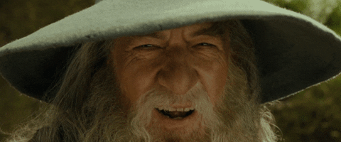 When an LOTR meme format hits the front page on a different sub : lotrmemes