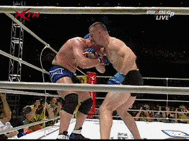 best bodyshot finishes? | Page 2 | Sherdog Forums | UFC, MMA & Boxing ...