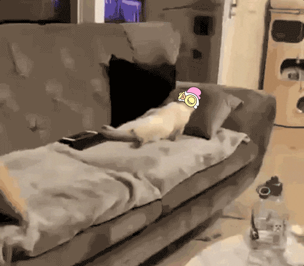 Leave Me Alone What - GIF Animado | MISTERGIF